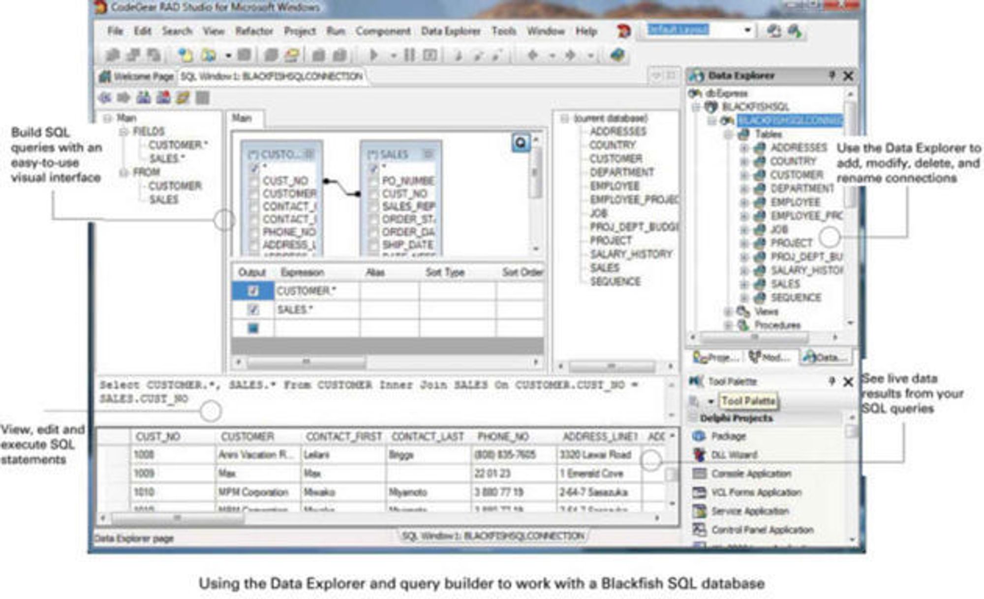Oppdatert Windows-utvikling fra CodeGear - Digi.no
